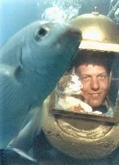 Bermuda Bell Diving in Bermuda, Bermuda, Bermuda | Diving | Full Details